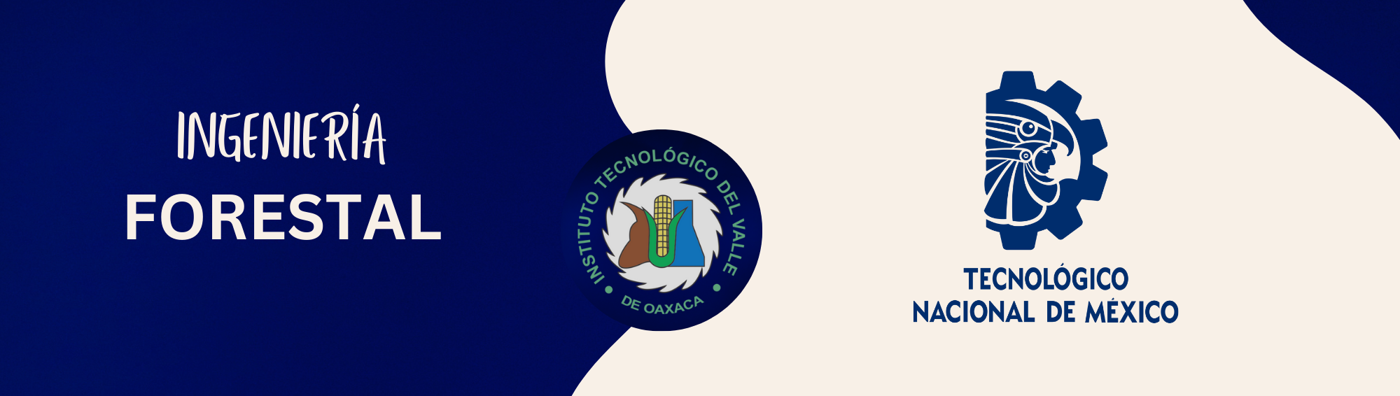Ingeniería Forestal – Depto. de Ciencias Básicas – ITVO